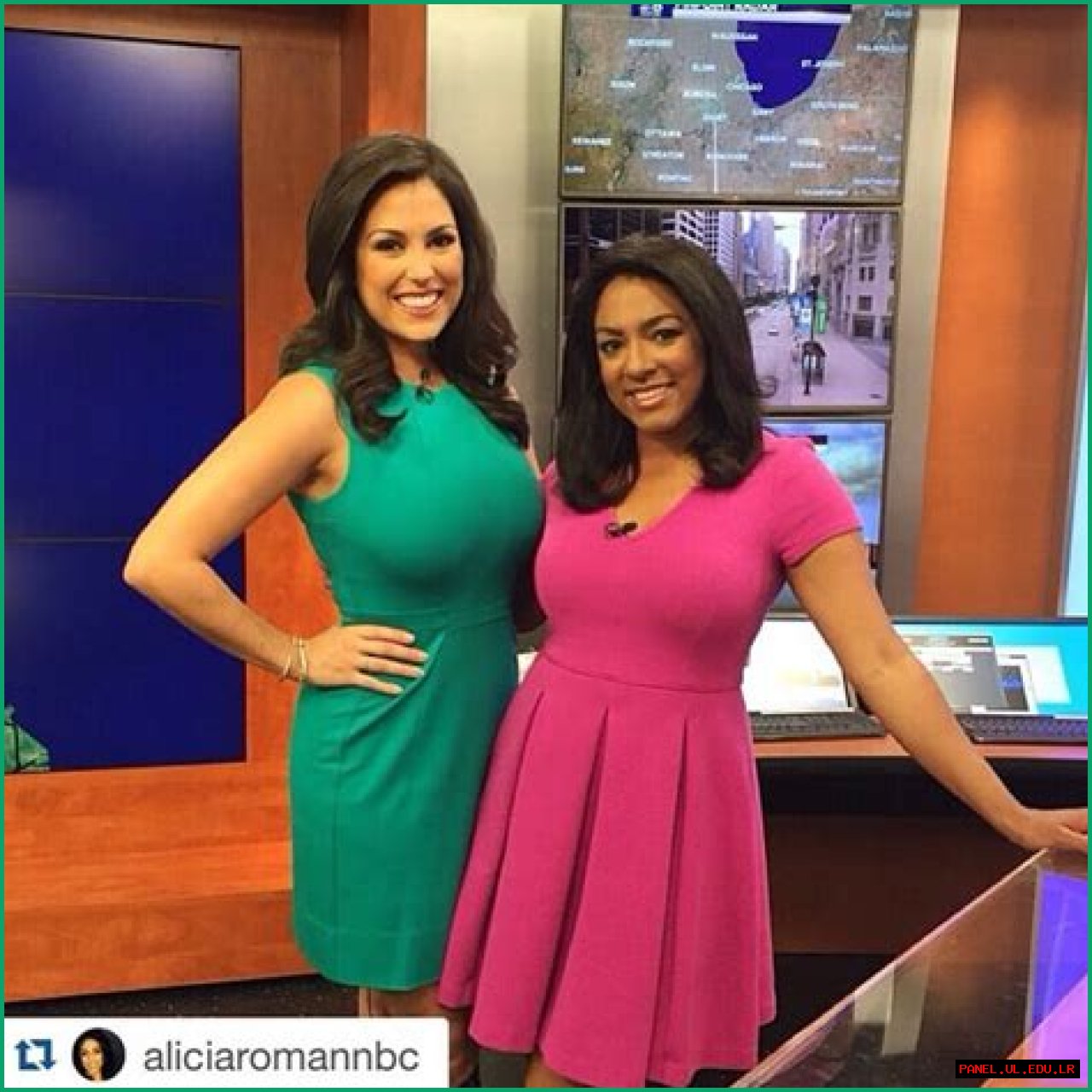 Alicia Roman NBC 5, Bio, Wiki, Age, Husband, Ellen Show, Salary, and ...