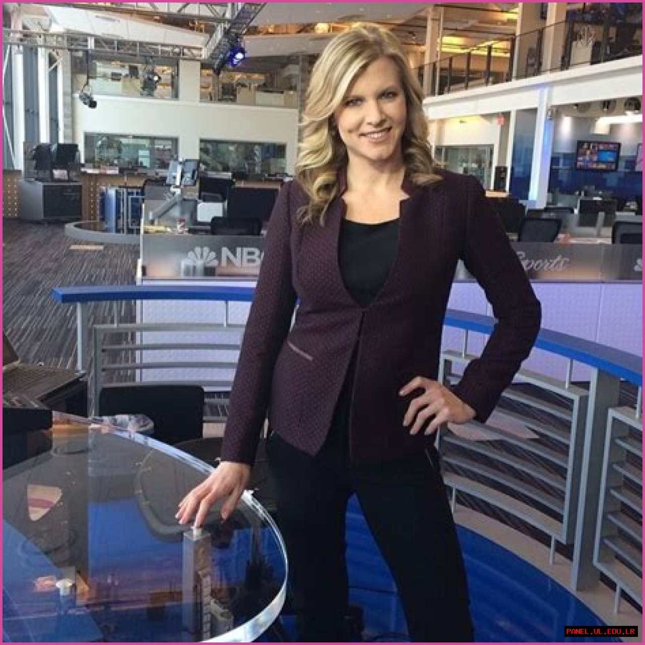 Julie Donaldson NBC, Bio, Wiki, Age, Husband, Washington, Salary, and ...
