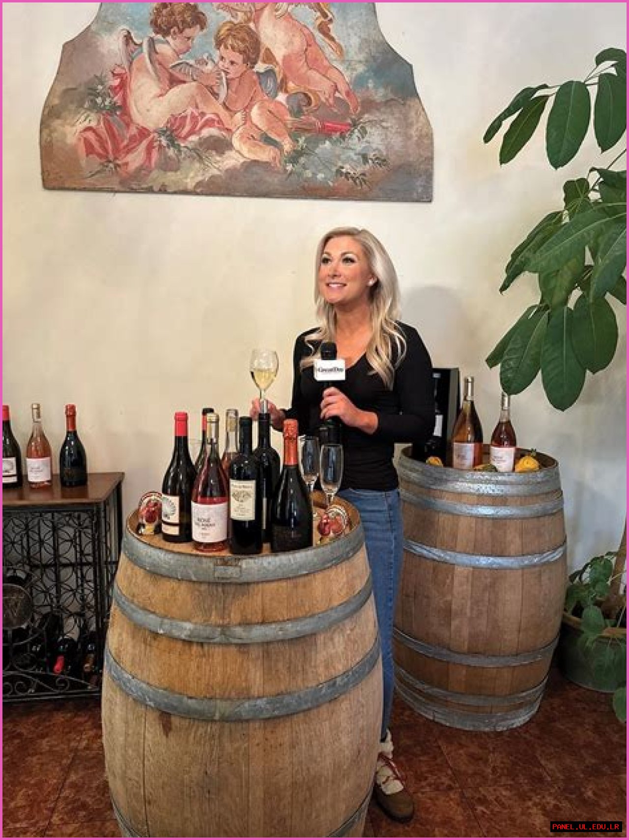 Marcy Jones WFSB, Bio, Wiki, Age, Husband, Salary, and Net Worth