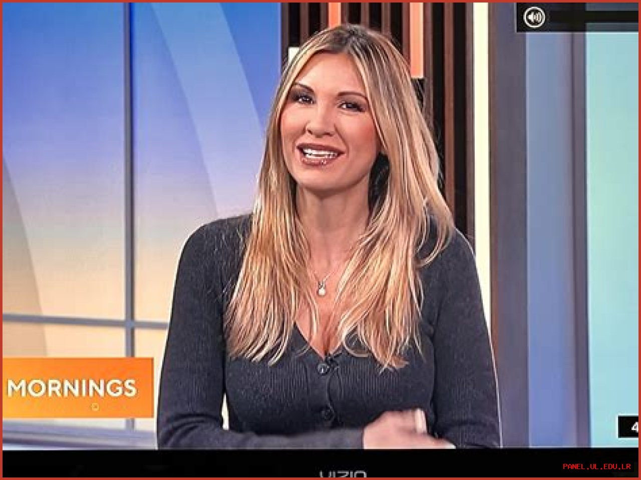 Rachel Kim CBS, Bio, Wiki, Age, Husband, Wedding, KCAL 9, Salary, and ...