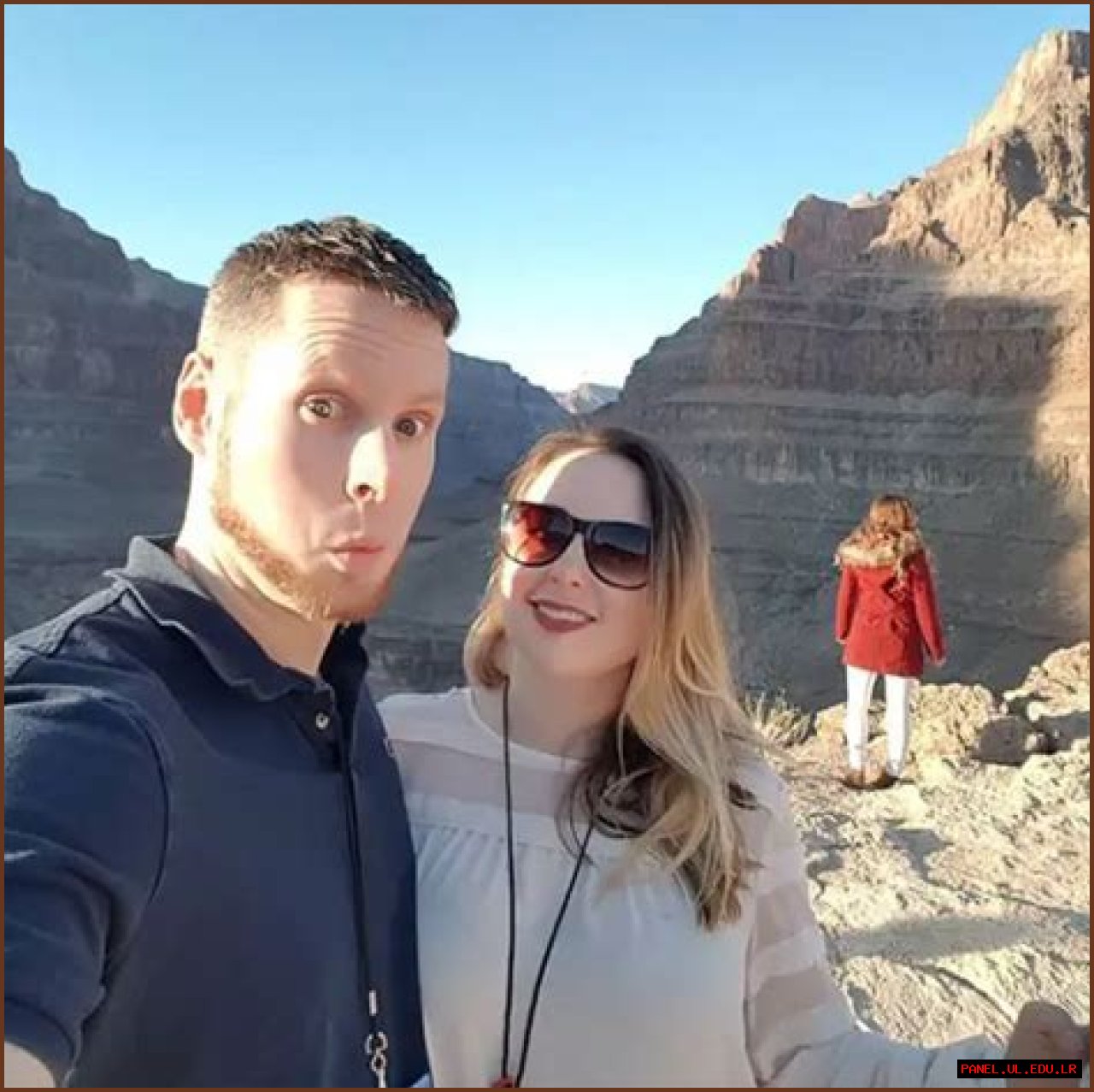 Troydan YouTube, Bio, Wiki, Age, Wife, Twitch, and Net Worth